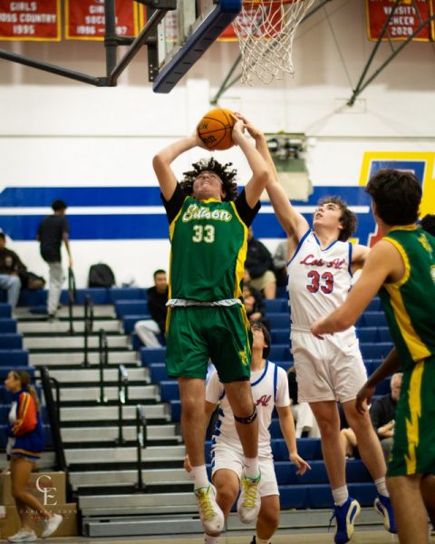 JV - Edison Charger Basketball